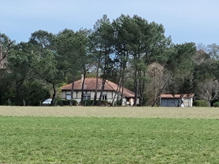Bergerie Landaise - Castets