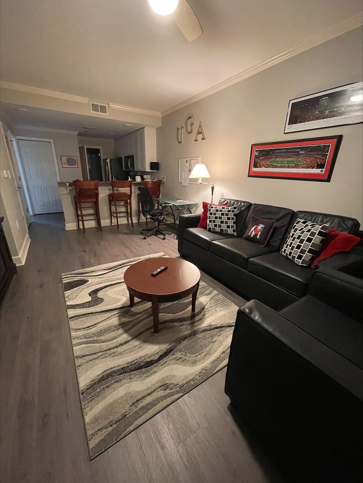 Sophisticated 2-br Condo (404) - University of Georgia, Athens