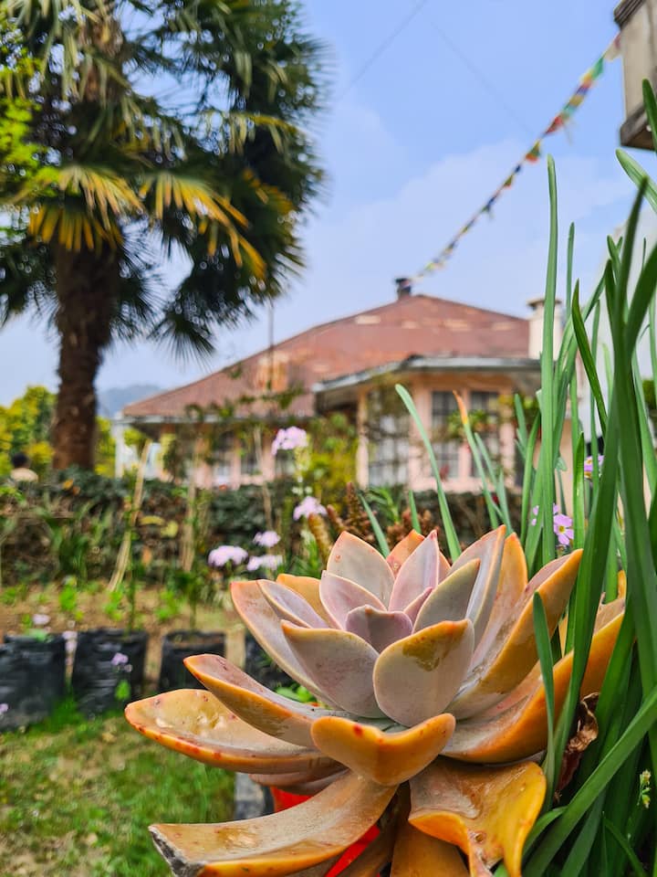 Peace Valley German Heritage Cottage Home Stay - Darjeeling