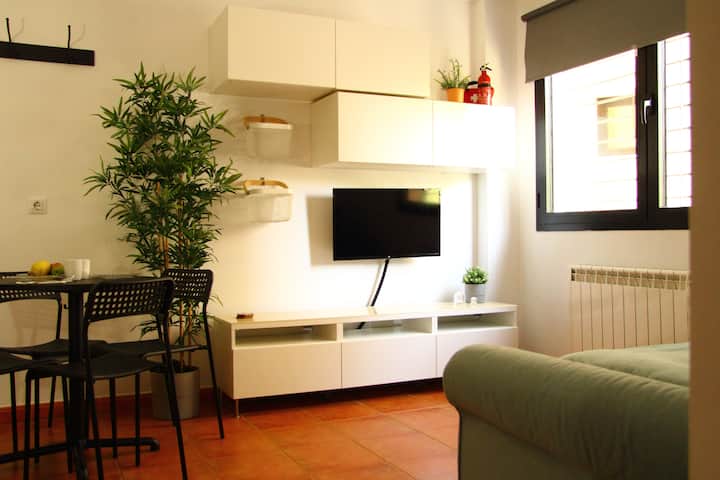 Estudio - Edif. Monte Gorbea - Sierra Nevada