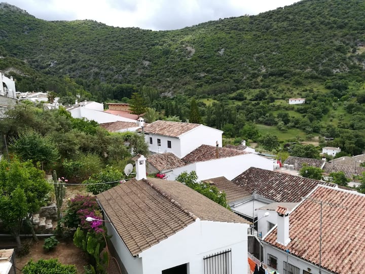 Los Abuelos - Grazalema