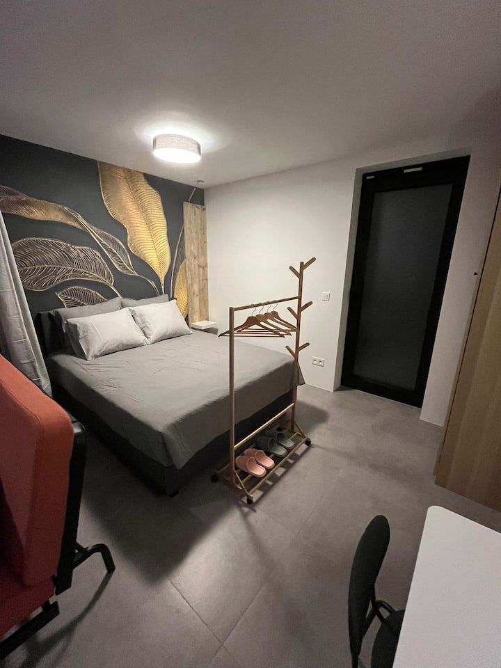 Starling - Kasterlee