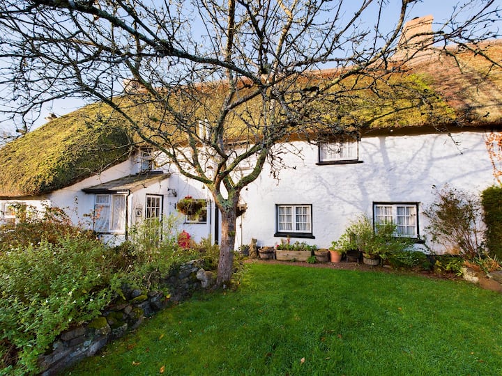 Snowdrop Cottage Close To Dartmoor! Free Parking - Devon