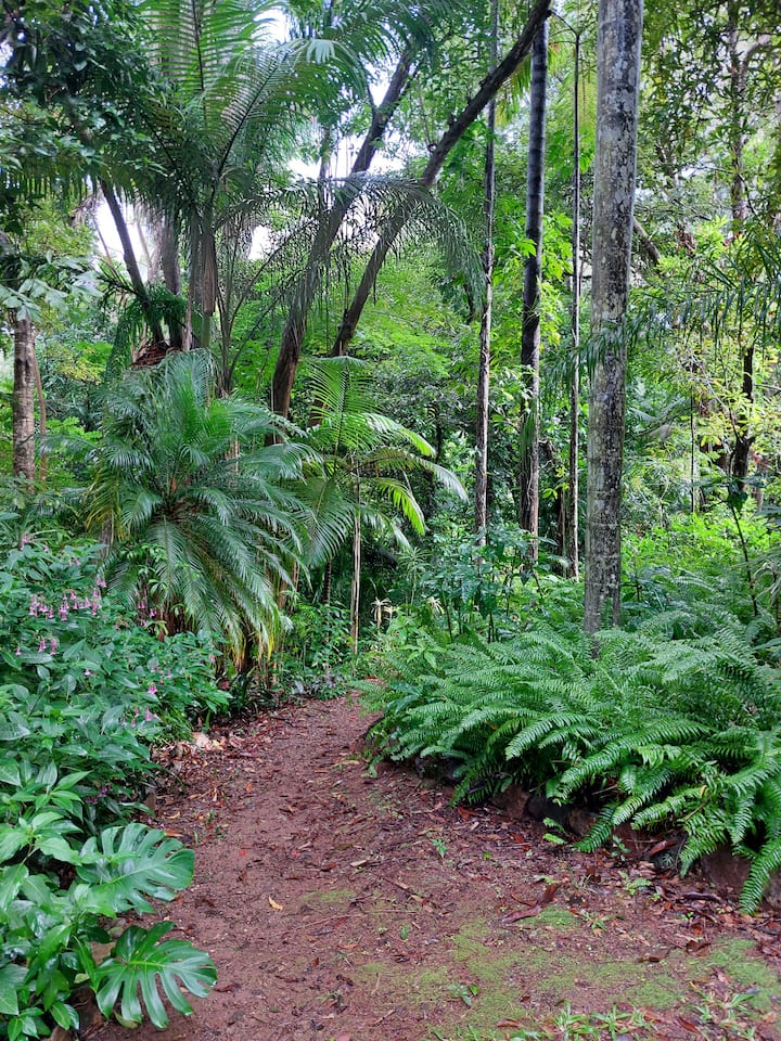 Rainforest Retreat | Fireplace+pit | Bbq | 3 Acre - Yandina