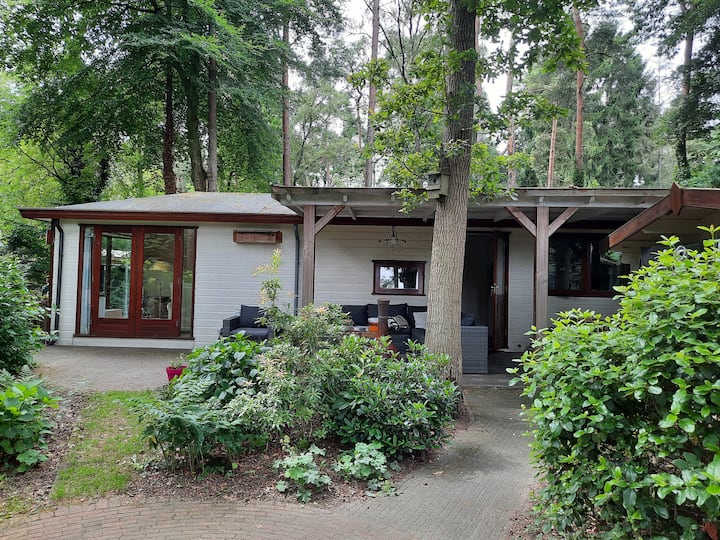 Chalet In Het Bos Op De Veluwe. - Epe