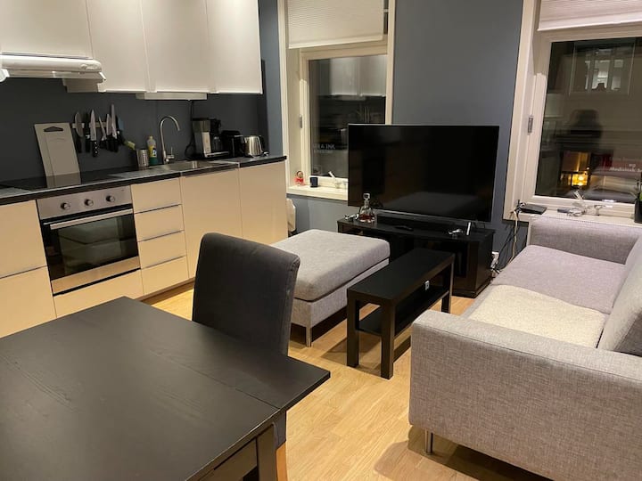 Modern Apartment In The Heart Of Oslo - Oslo