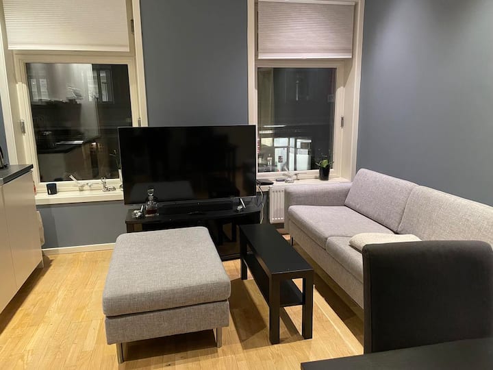 Modern Apartment In The Heart Of Oslo - Oslo