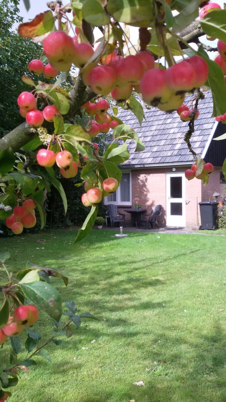 Groetvakantiehuis - Groet
