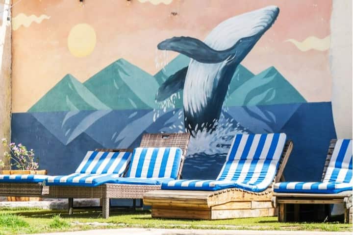 Casa Jardines - La Paz, Mexique