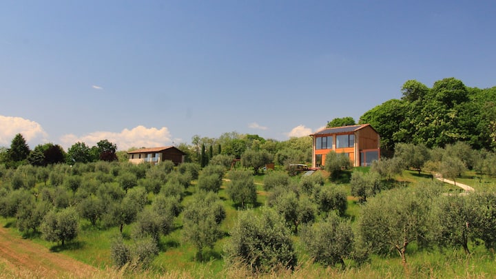 Dolce Colle Intere Strutture - Montebelluna