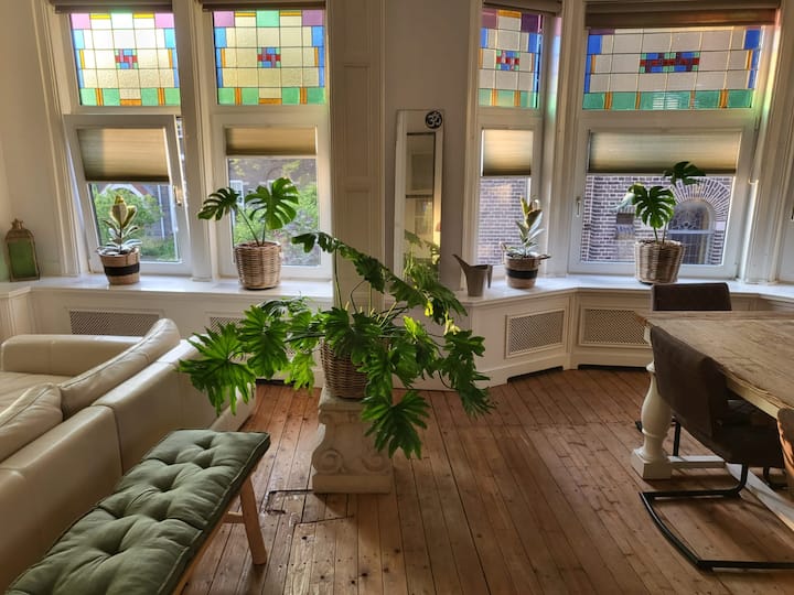 Windmill Splendor Apartment - Schiedam