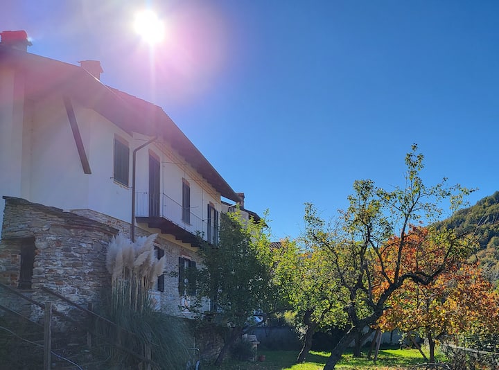 Canonica | Barolo - Liguria