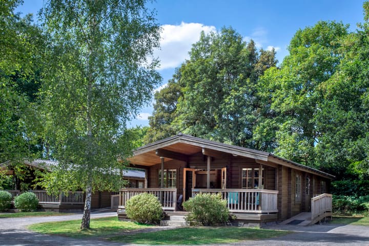 Willowbank Lodges - Dragonfly Lakeside Log Cabin - Marlborough