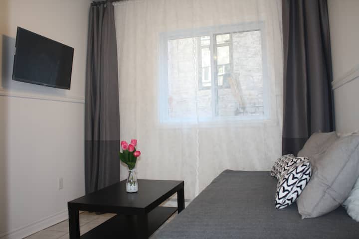 St-denis Iv-9 | Entire Apt - Montreal