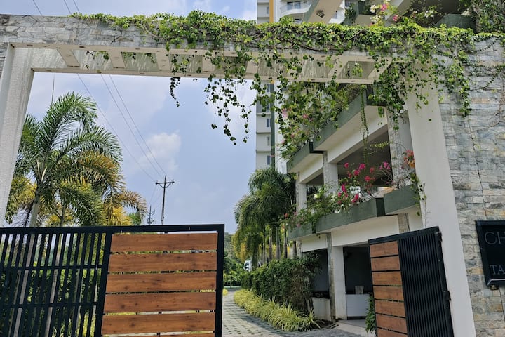 Tall County - Kottayam