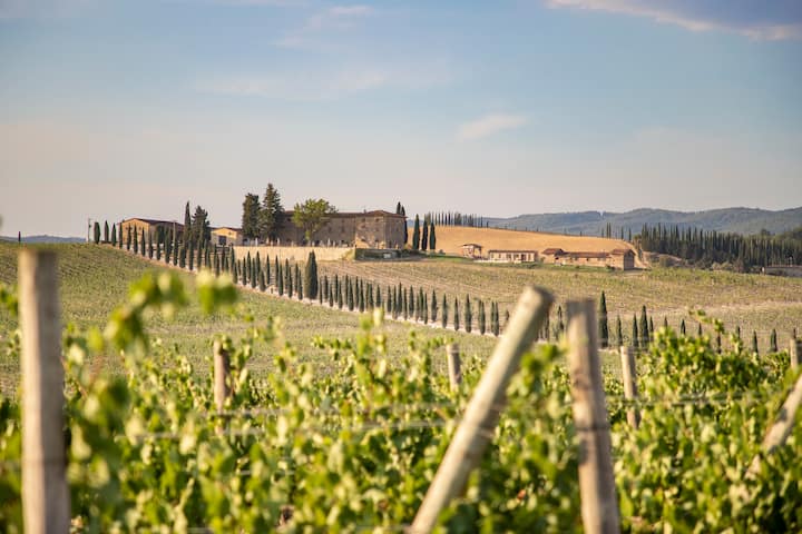 Appartamento 2 Piano Con Piscina Condivisa - 3 Pax - Toscana