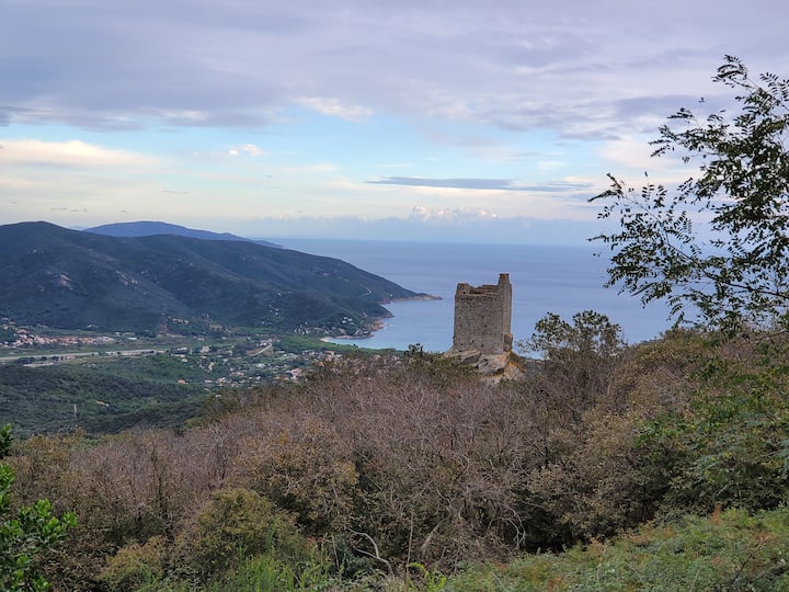 5 Camere Da Letto  11 Posti Letto - Elba