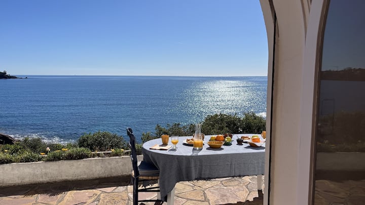 Villa Pieds Dans L'eau Accès Et Vue Mer, Jardin - Saint-Raphaël