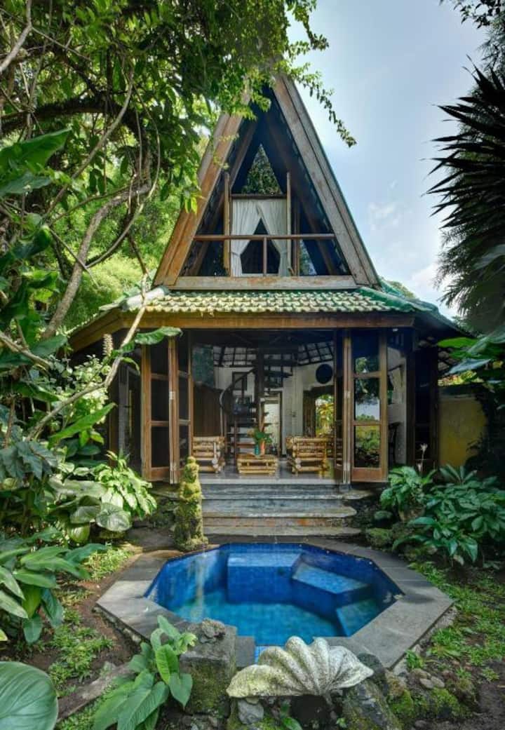 Lion Villa - Karangasem