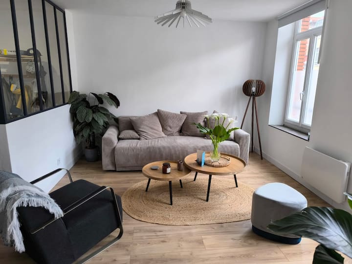 Appartement Spacieux Et Moderne, En Plein Centre. - ibis Styles Boulogne sur Mer Centre Cathédrale