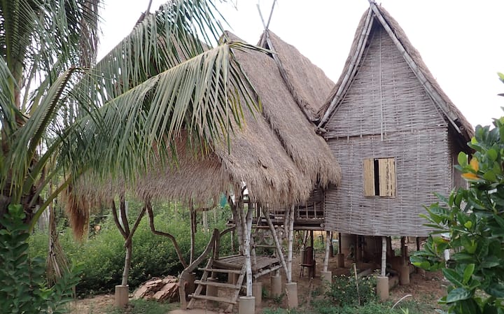 Obt - The Jack Fruit Bungalow - Cambodia