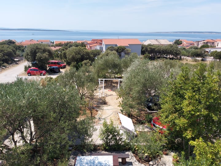 Trosobni Apartman - Gligora - Mandre