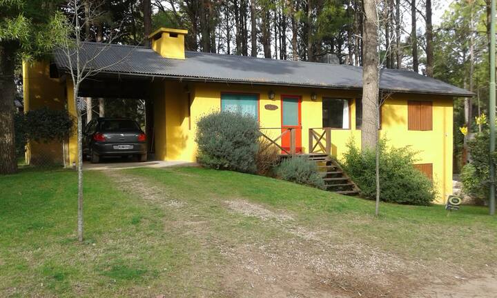 Casa En El Bosque , No A Grupos De Jóvenes. - Pinamar
