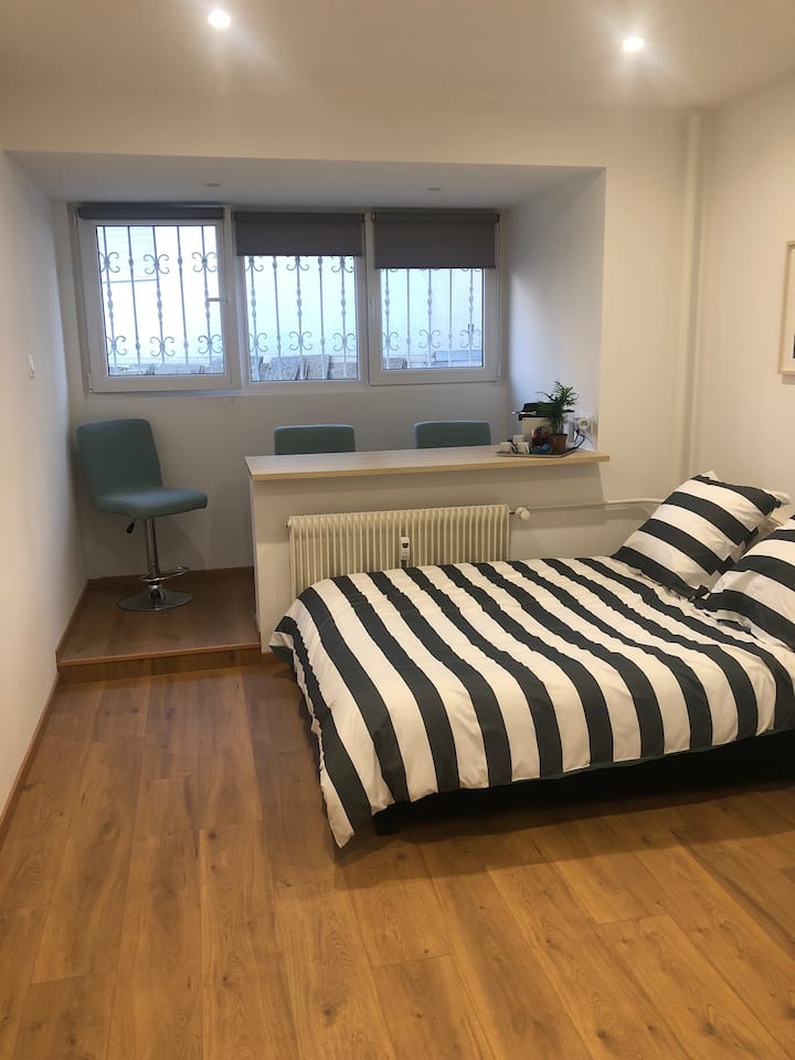Studio Pour Trois Personnes - Strassburg