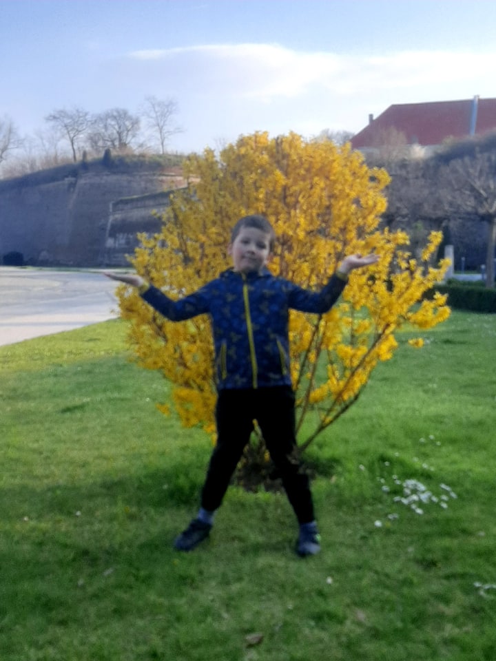 Pensiunea Codru Sălciua - Râmetea