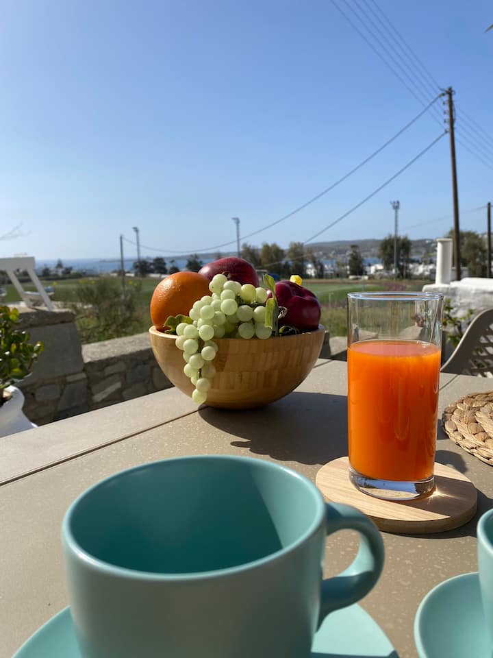 Nikolina's View - Paros
