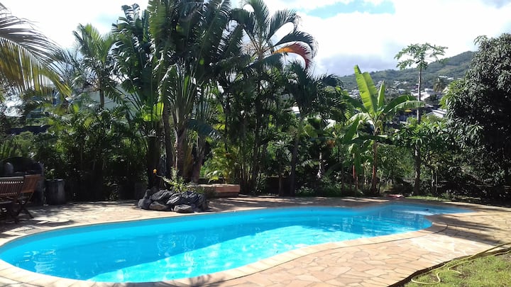 Grande Villa Piscine Et Jardin - Saint-Leu