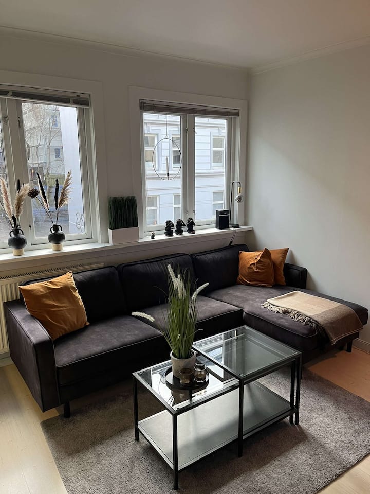 Sentral Leilighet Ved Bislett - Oslo