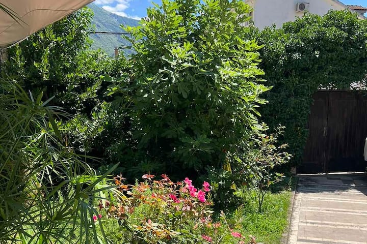 Apartmani Snežana 1 - Kotor