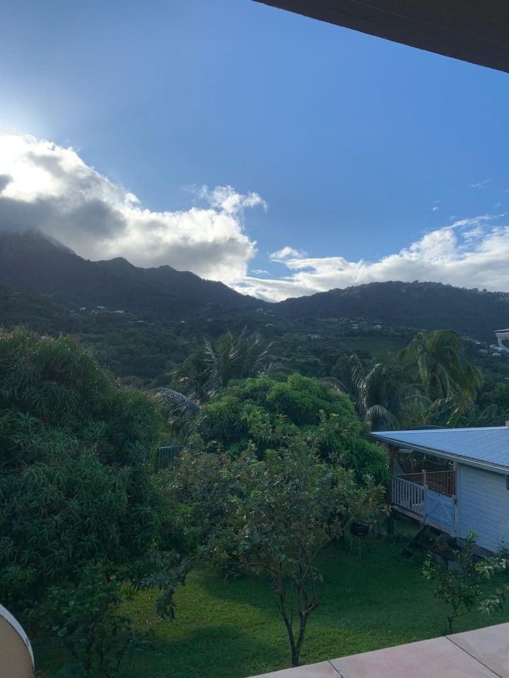 Charmante Maison Au Morne-vert - Martinique