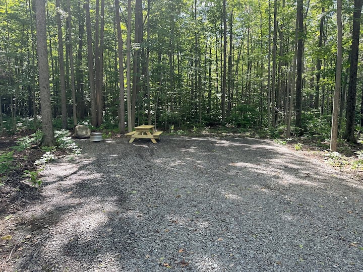 Camp Site For Rv/camper With Full Hookups, Site 3 - Watkins Glen, NY