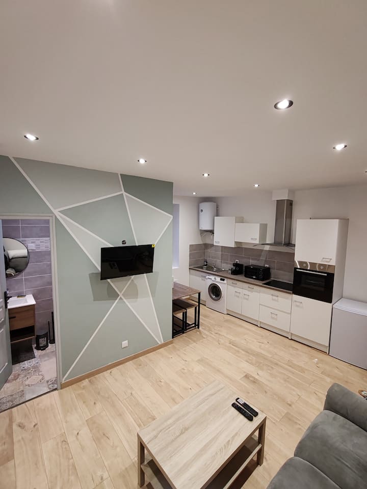 Appartement 40 M2 Tout éQuipé - Saint-Étienne