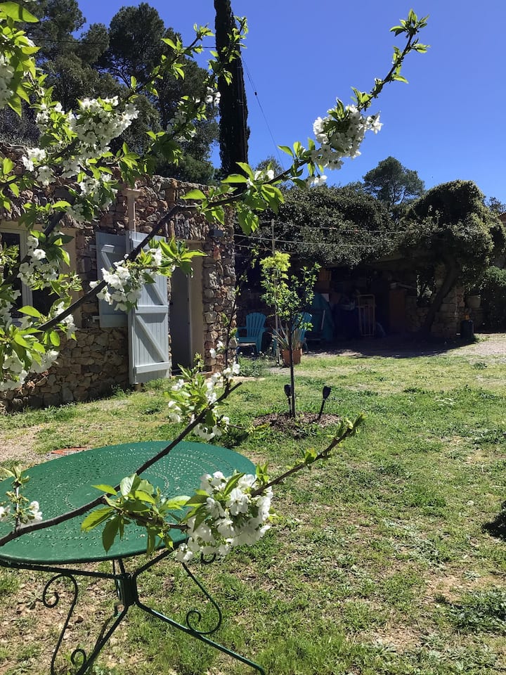 Studio Au Cœur Du Var - Vidauban