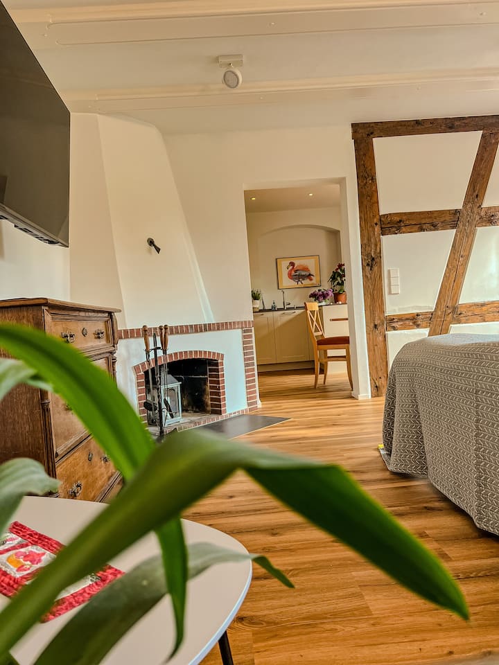 Ferienwohnung Abt Ekkehard - Allensbach