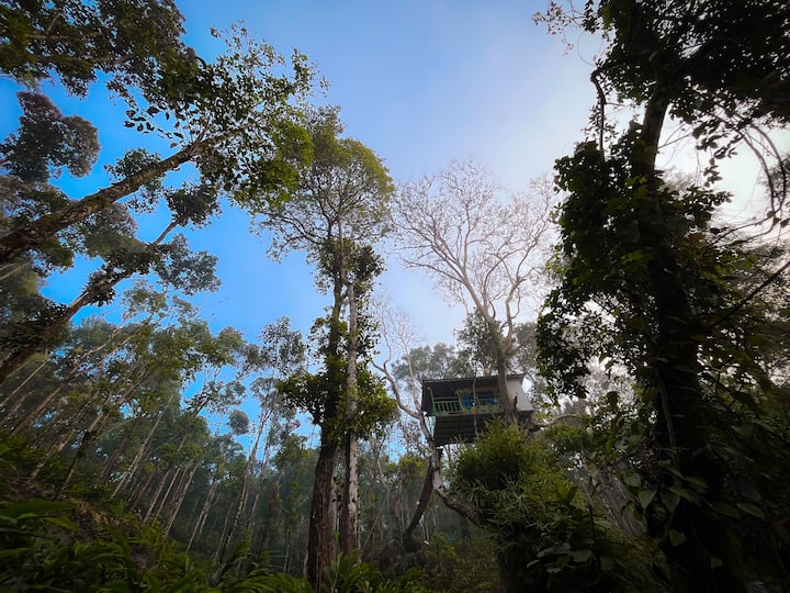 Tree House In Munnar - Munnar