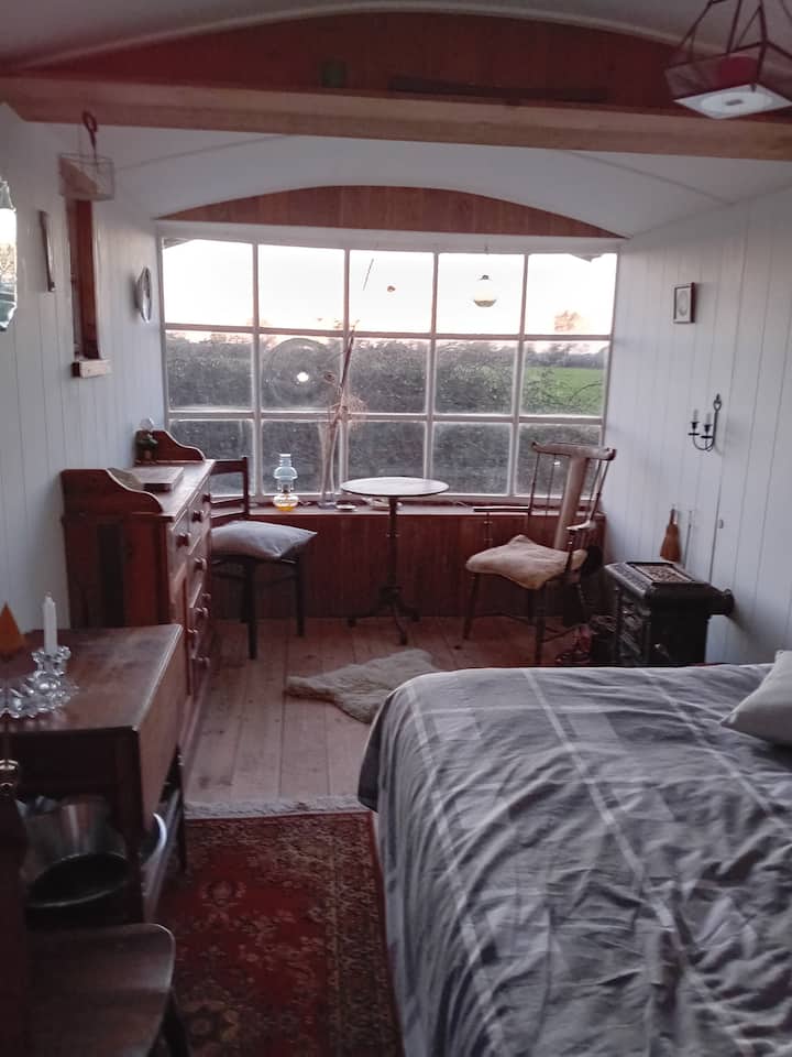 Teddy Bear Cabin - Aylesbury
