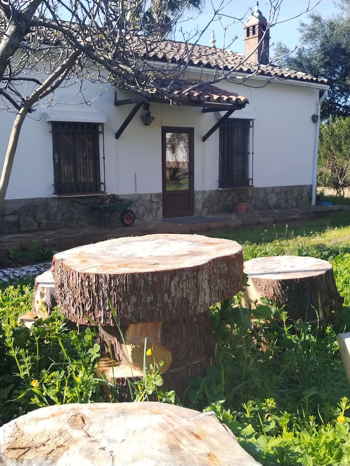 Casa Aracena La Capilla - Aracena
