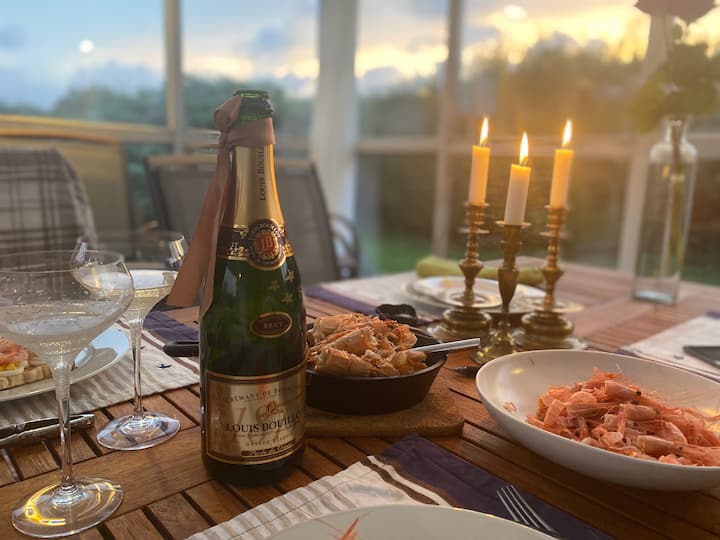 Modern 1 Plans Villa Med Jacuzzi Och Skön Trädgård - Viken