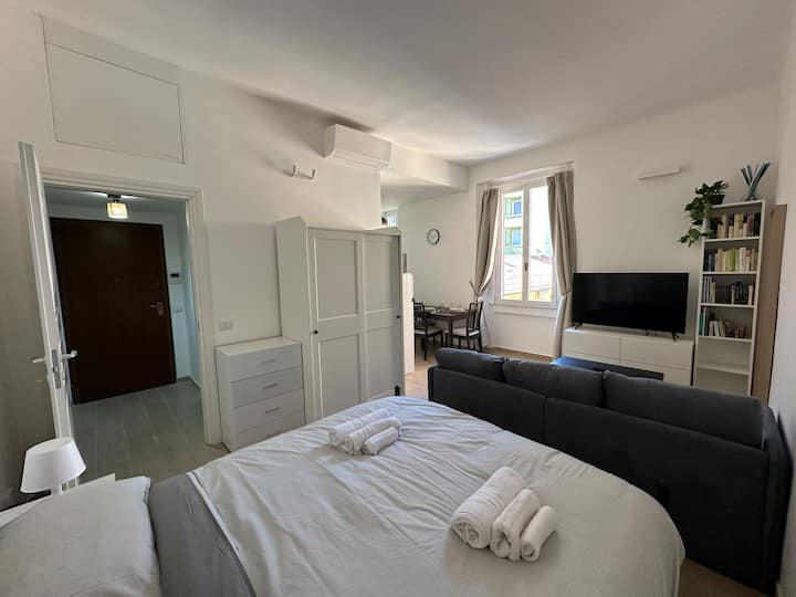 Renovated Big Studio Apartment Giovanni - Milan