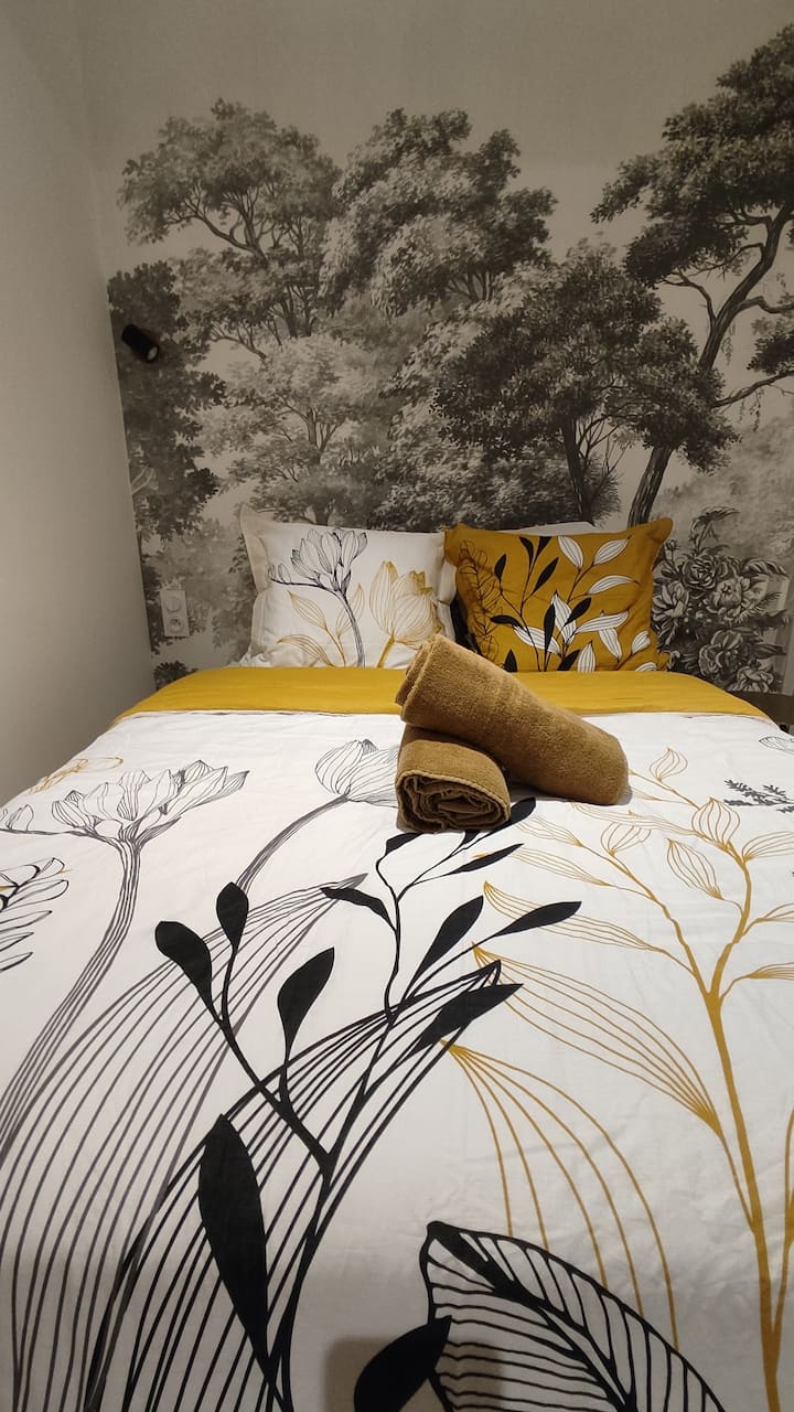"Centre Historique" Studio Cosy Et Chaleureux - Nevers