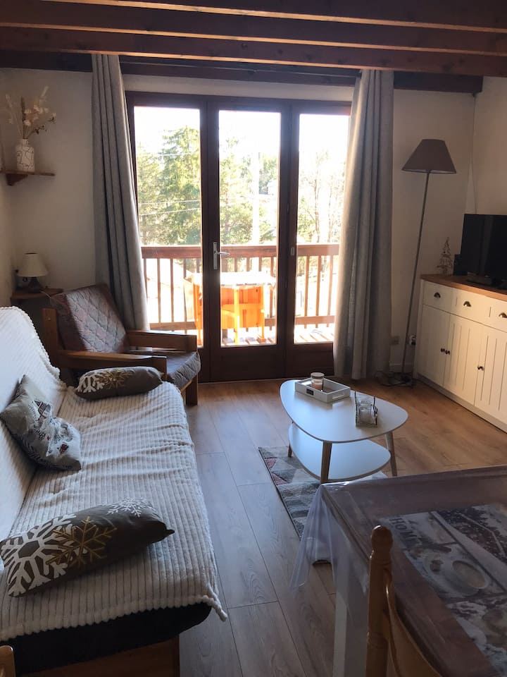 Appartement Type Chalet - Formiguères