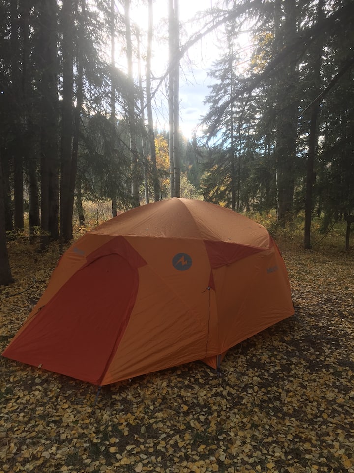 #1 Tent And Rv Site - Parc national de Banff