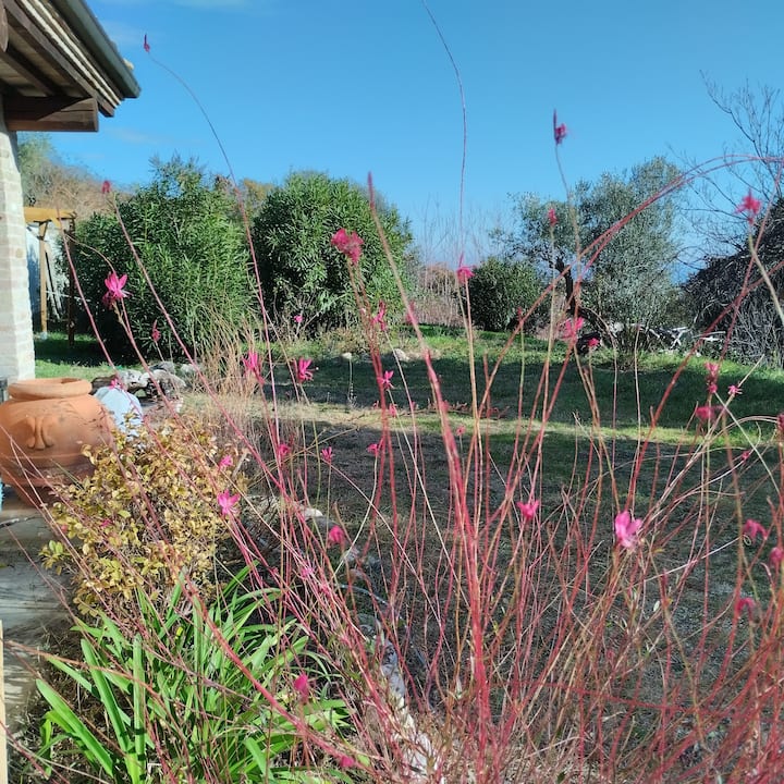 Casa Lucetta Hills And Sea - Italy