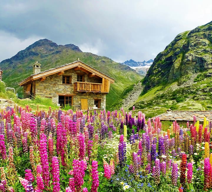Charmant Chalet Haute Montagne - Bonneval-sur-Arc