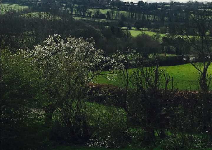 Charming Rural Getaway - Fermoy