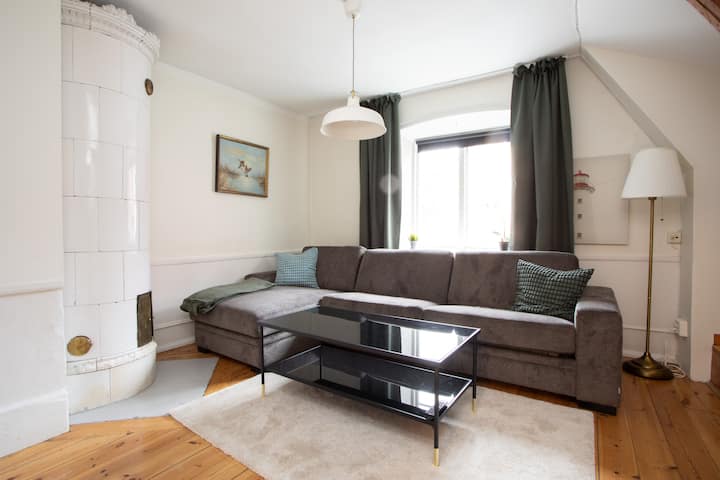 Superior Apartment With Sofabed - Estocolmo